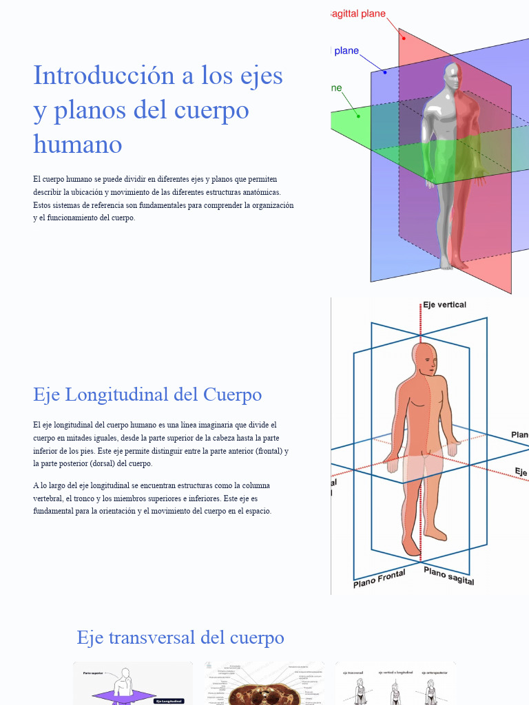 Introducción A Los Ejes y Planos Del Cuerpo Humano | PDF | La columna ...