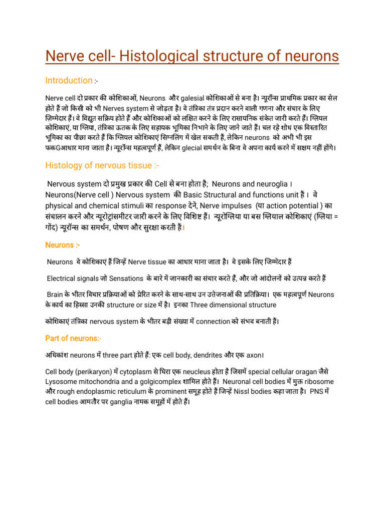 Neurons | PDF