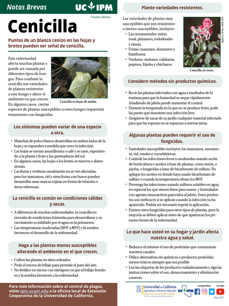 Cenicilla | PDF | Agua | Pesticida