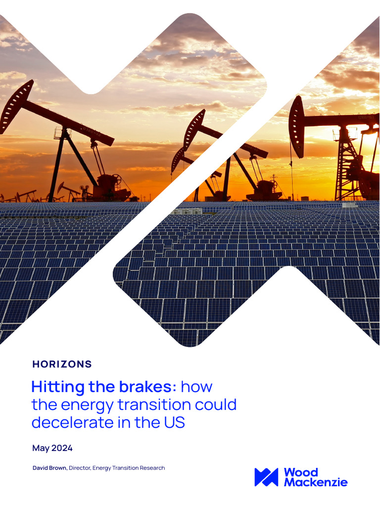 US Energy Transition: Deceleration Risks | PDF | Electric Vehicle | Low ...