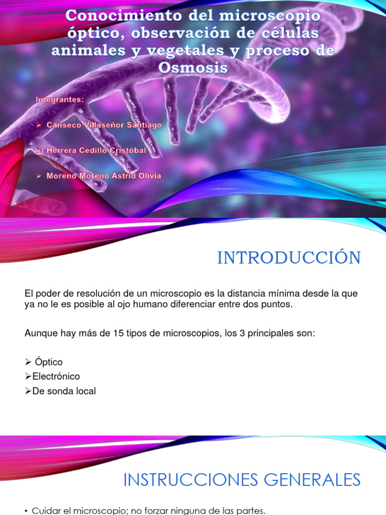 Práctica 2 Bio | PDF | Microscopio | Plantas