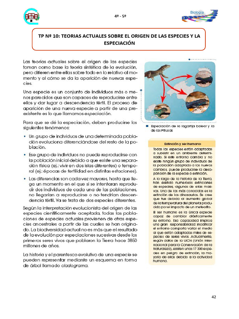 TP10 Especiacion | PDF | Evolución | Biología