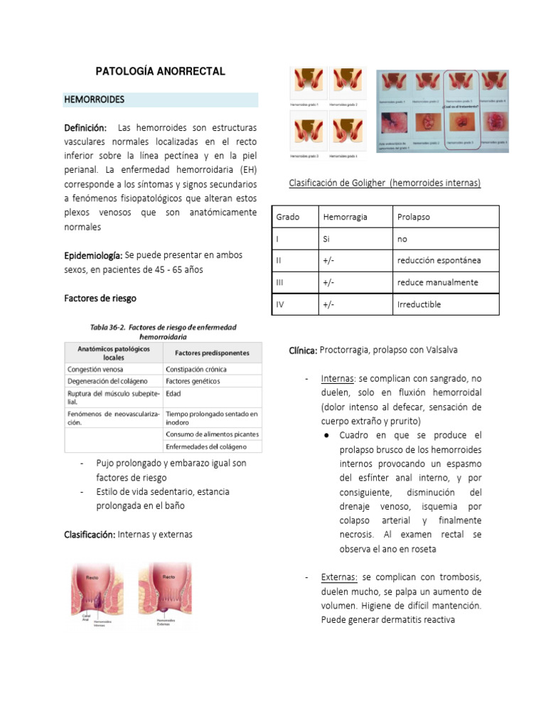Patologia Anorrectal, Volvulo, Megacolon y Diverticulos | PDF ...