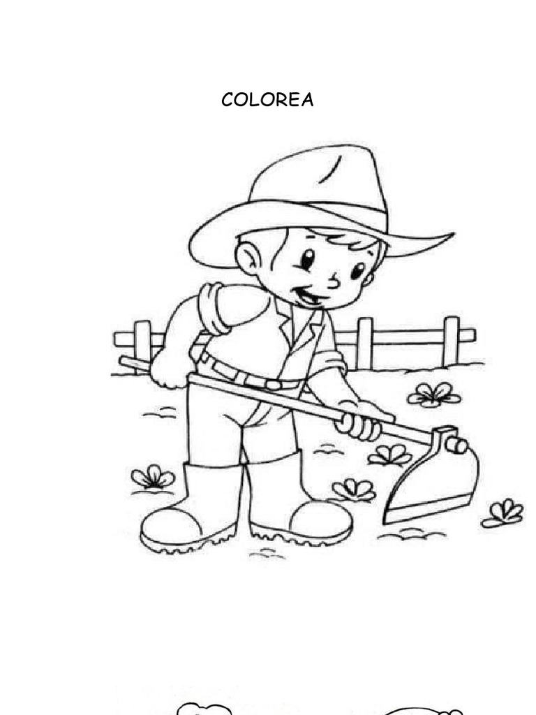 Fichas Junio 2024 | PDF