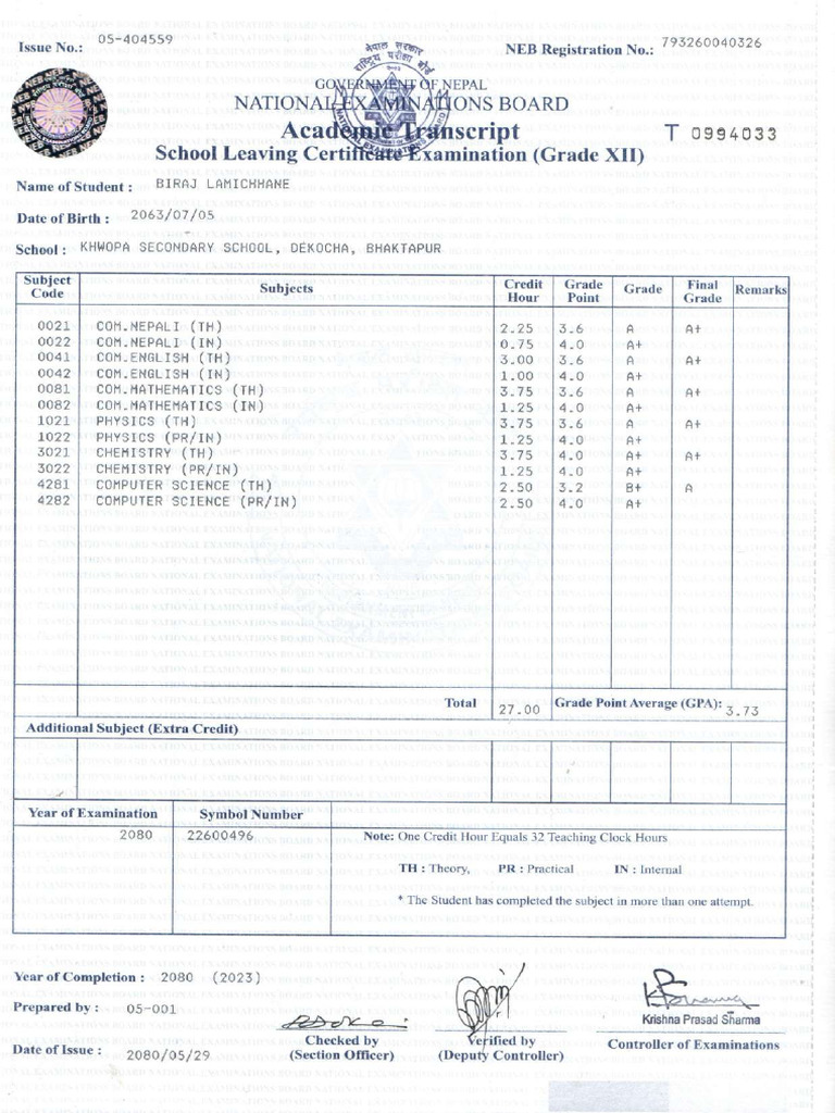Biraj Academic | PDF