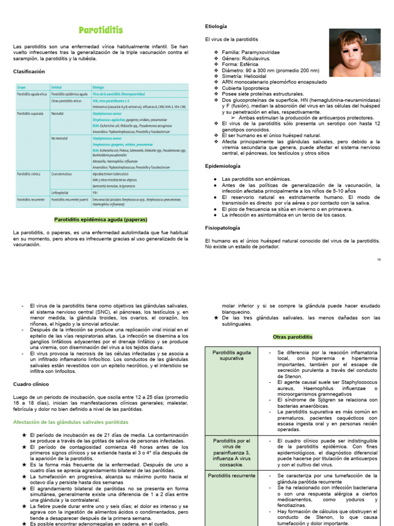 Parotiditis: Causas, Síntomas y Prevención | PDF | Especialidades ...