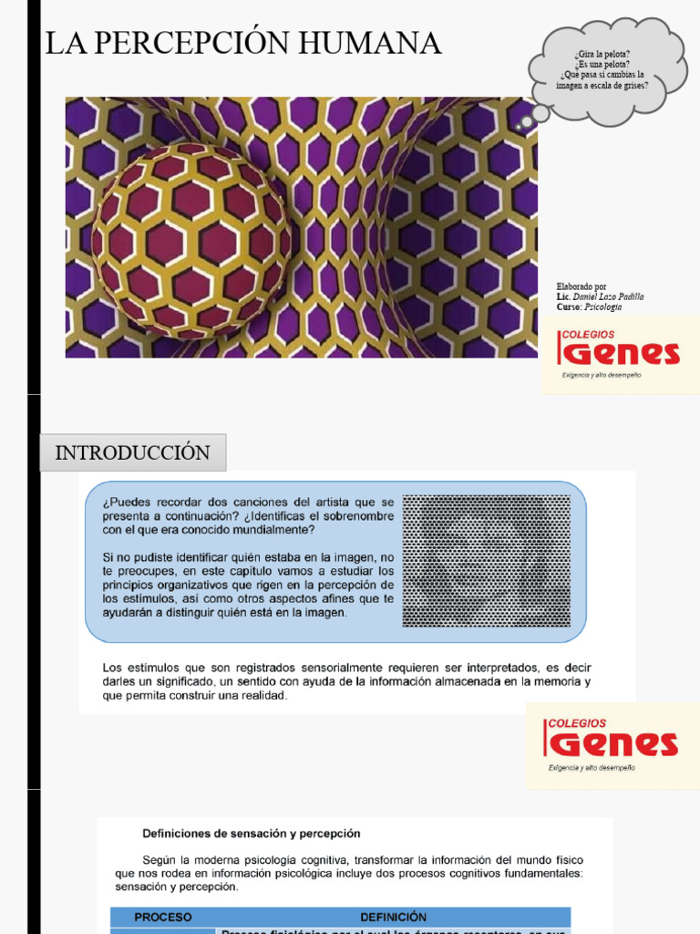 La Percepción Humana | PDF