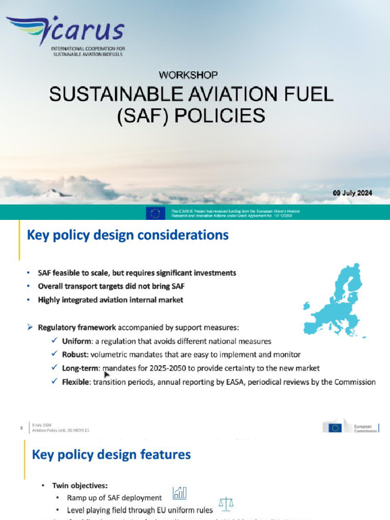 SAF Icarus Workshop | PDF