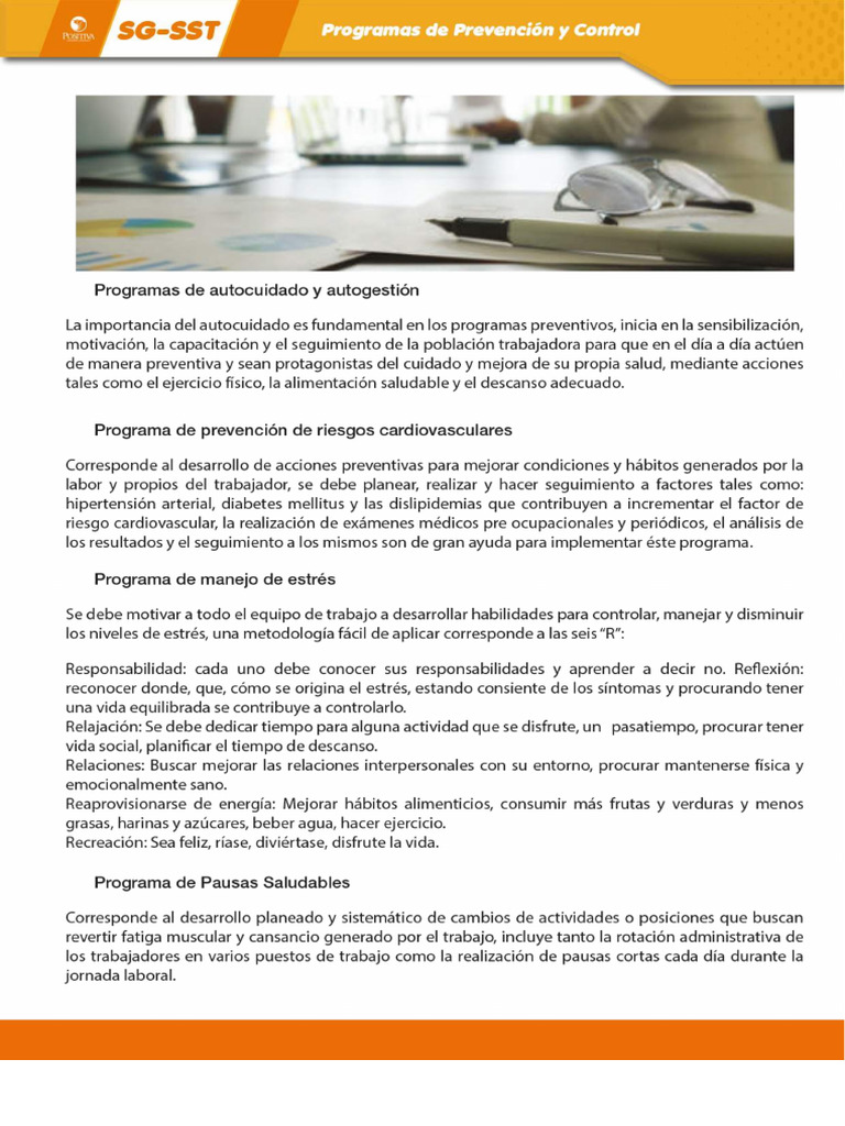 Programa Prevencion | PDF