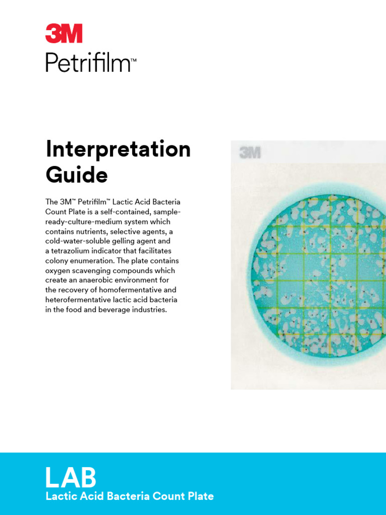 LAB Interpretation Guide Min | PDF | Bacteria | Fermentation