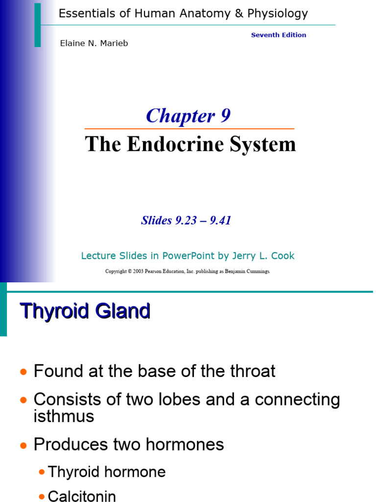 Ch09b EHAP-Lect | PDF | Adrenal Gland | Thyroid
