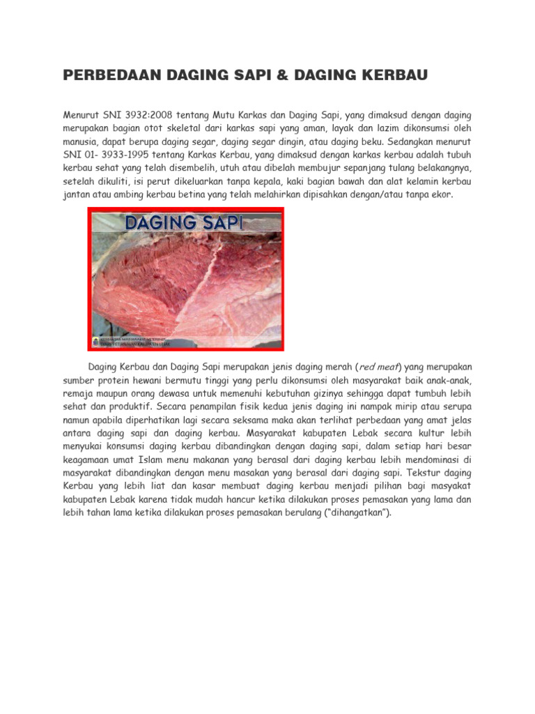 Perbedaan Daging Sapi Dan Daging Kerbau | PDF | Kesehatan Holistik | Sains & Matematika