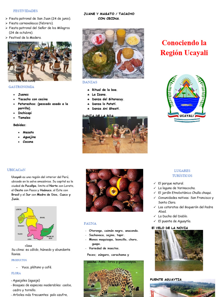 TRIPTICO REGION UCAYALI | PDF