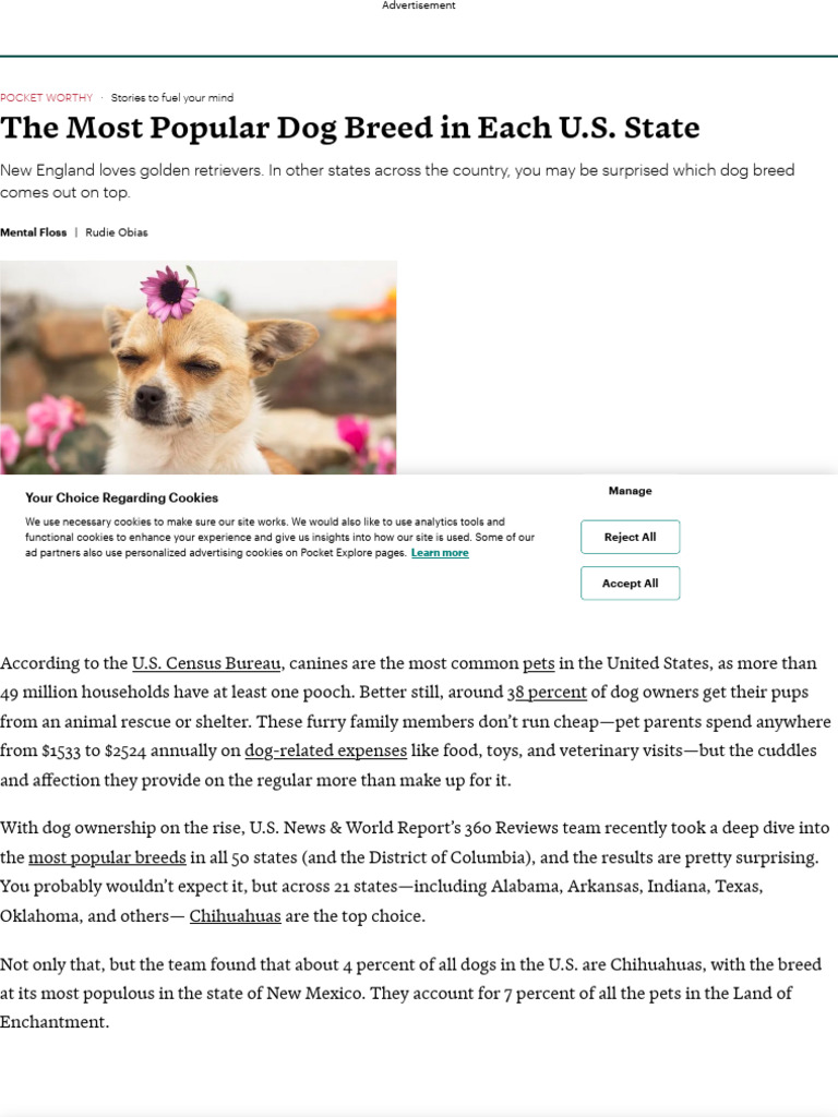 The Most Popular Dog Breed in Each U.S. State | PDF | Dogs | Subspecies ...