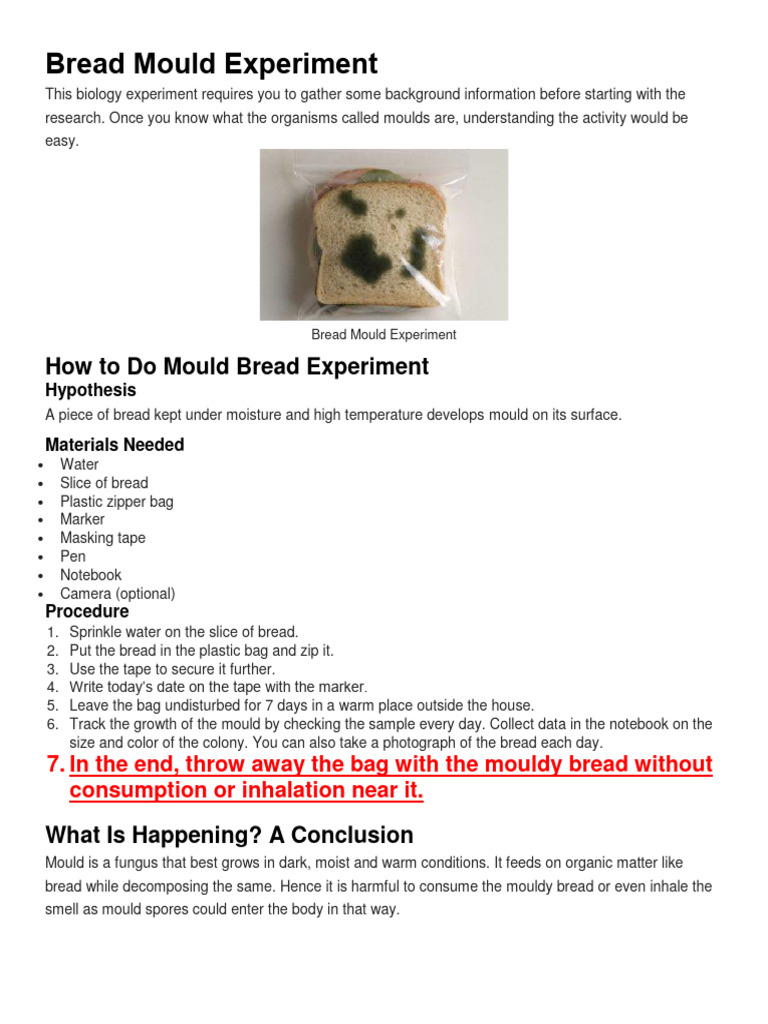 Breadmould Experiment | PDF