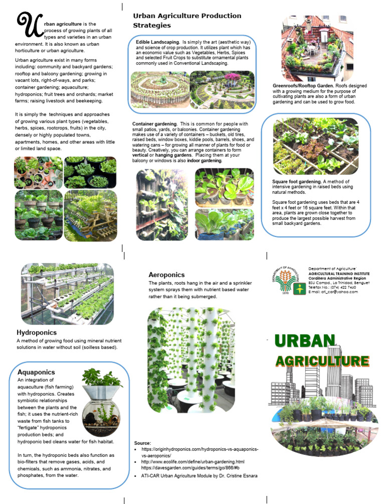 Urban Gardening Agriculture | PDF | Urban Agriculture | Hydroponics