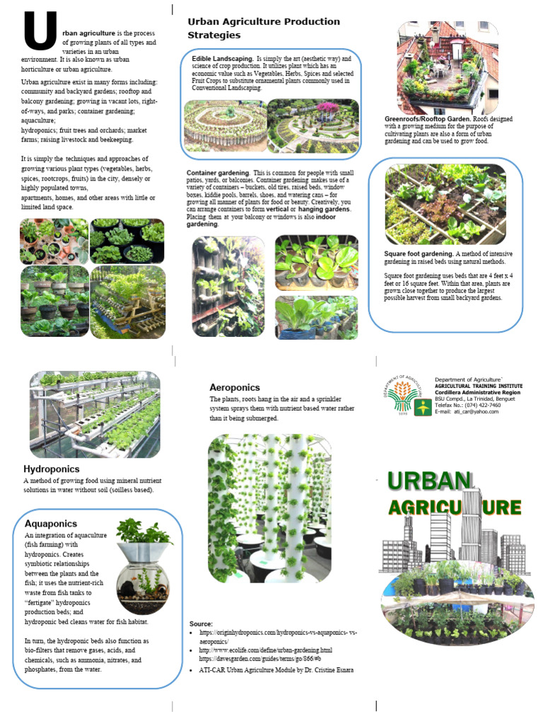 Types of Urban Gardening Methods | PDF | Urban Agriculture | Hydroponics