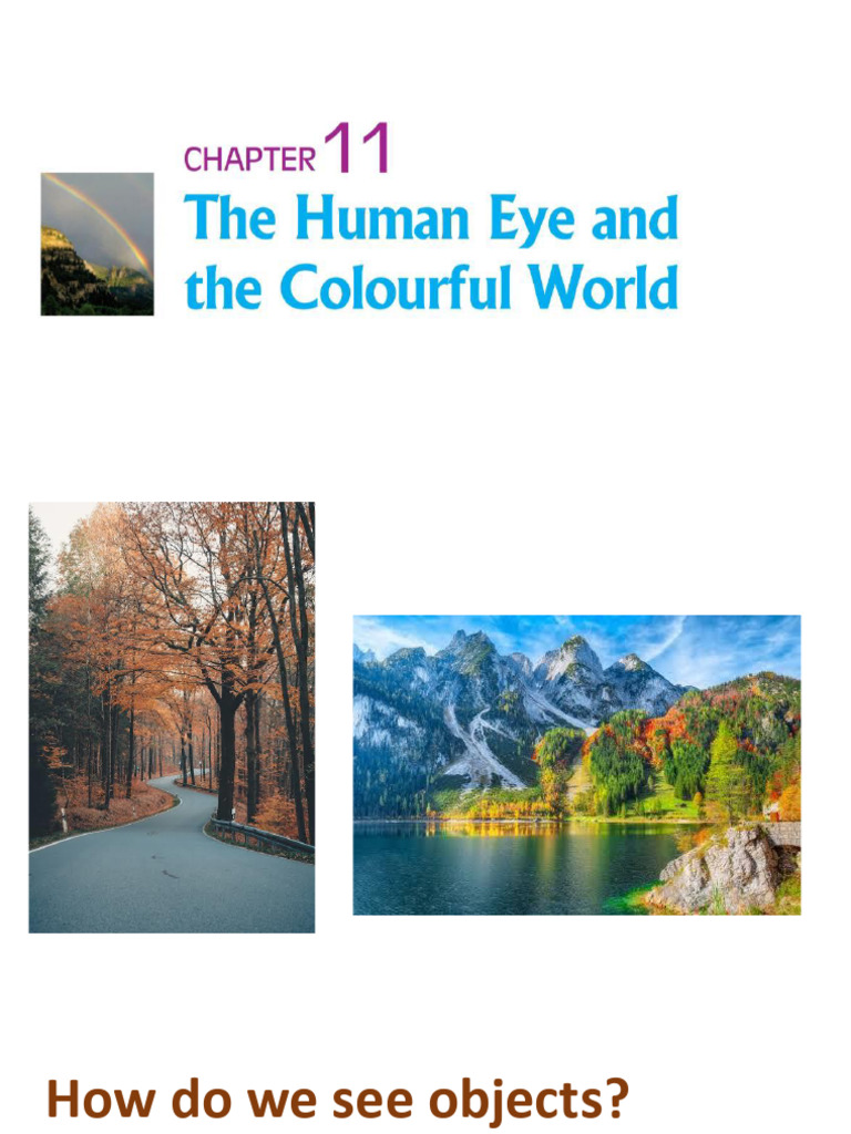 Human Eye & Colourful World 1 | PDF | Eye | Human Eye