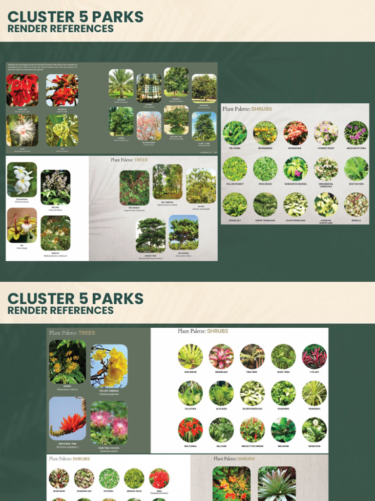 RSC - C5 Landscape Reference | PDF | Horticulture | Plants