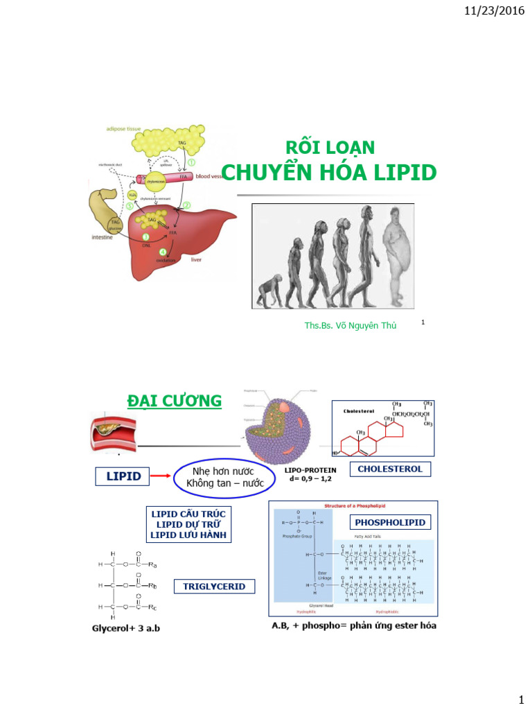Roi Loan Chuyen Hoa Lipid | PDF