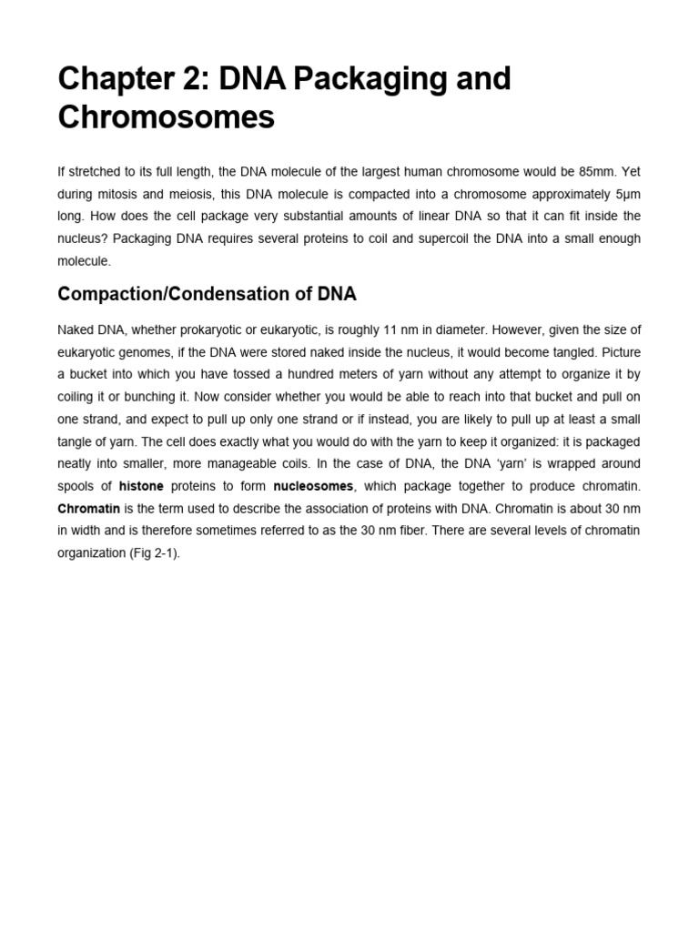 DNA Packaging and Chromosome Structure | PDF | Histone | Chromatin