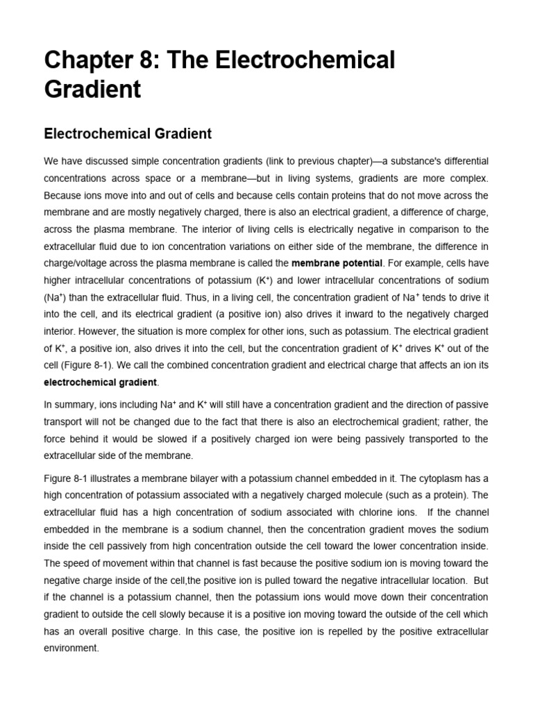 Chapter-8 enzymes | PDF | Chemical Synapse | Action Potential