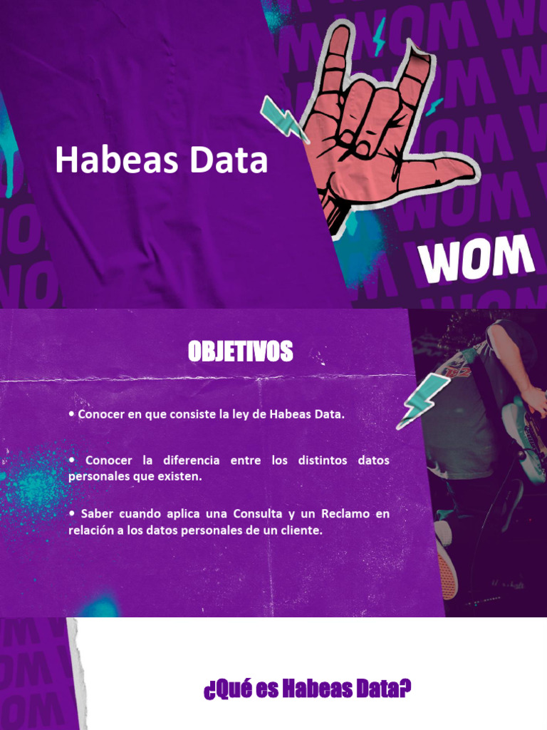 Guía sobre Habeas Data y Datos Personales | PDF | Justicia | Crimen y ...