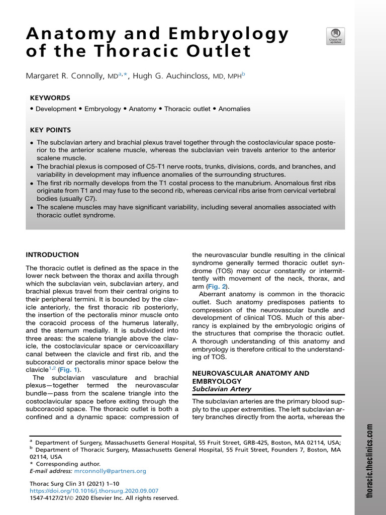 Thoracic Outlet Anatomy Guide | PDF | Vertebra | Vein