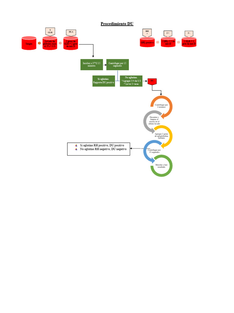 Esquema de procedimiento DU | PDF | Sangre | Vertebrados