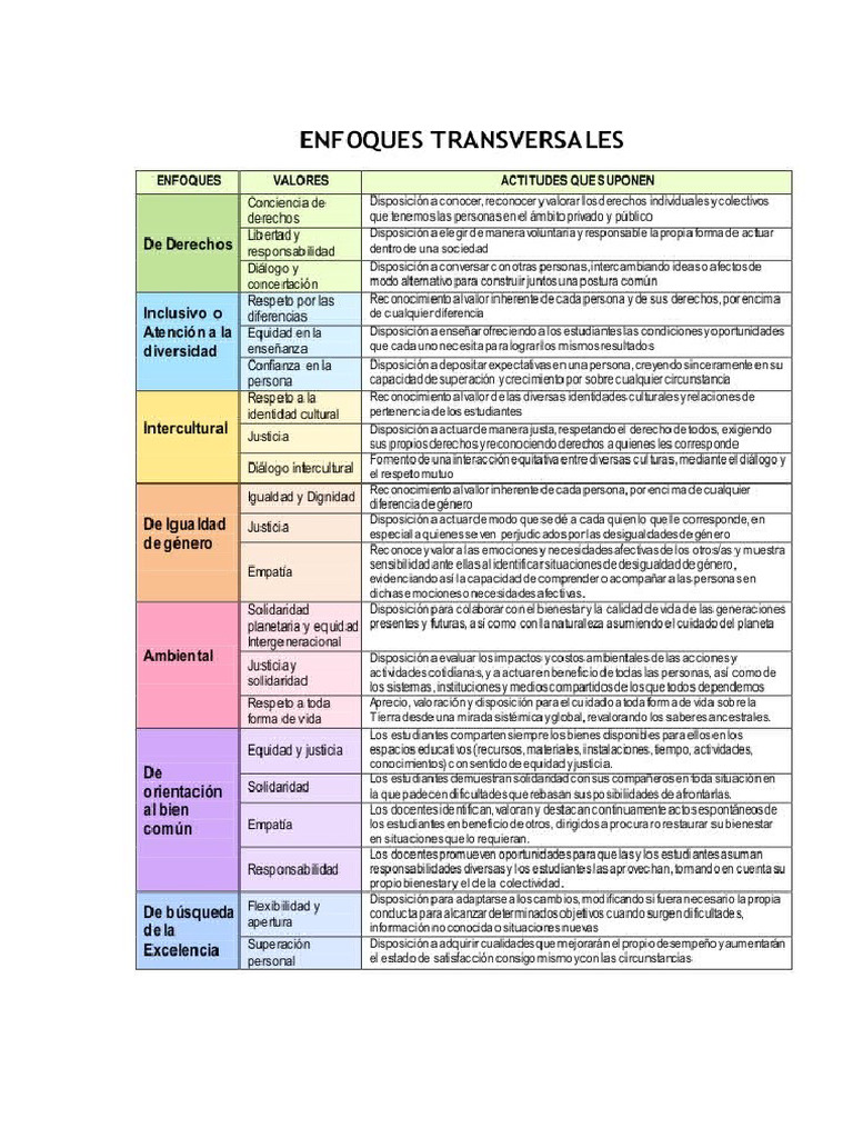 Enfoques Transversales | PDF
