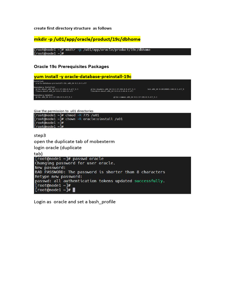 Oracle 19c Installation | PDF