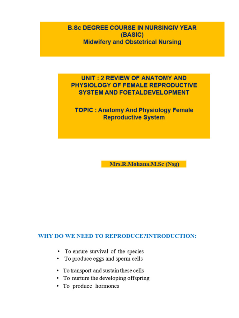 e Notes Female Reproductive System | Download Free PDF | Uterus | Labia