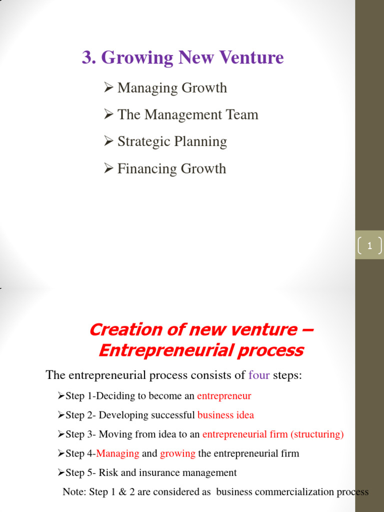Managing Growth in New Ventures | PDF | Entrepreneurship | Mergers And ...