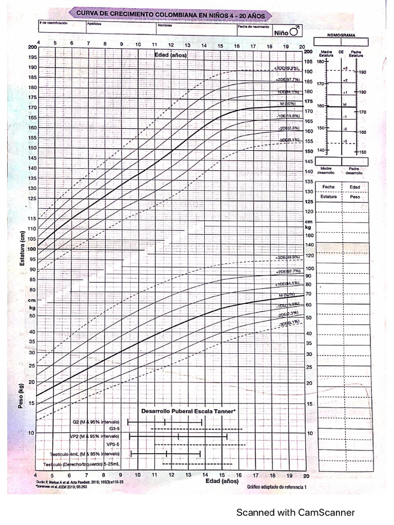 Curvas Colombia | PDF