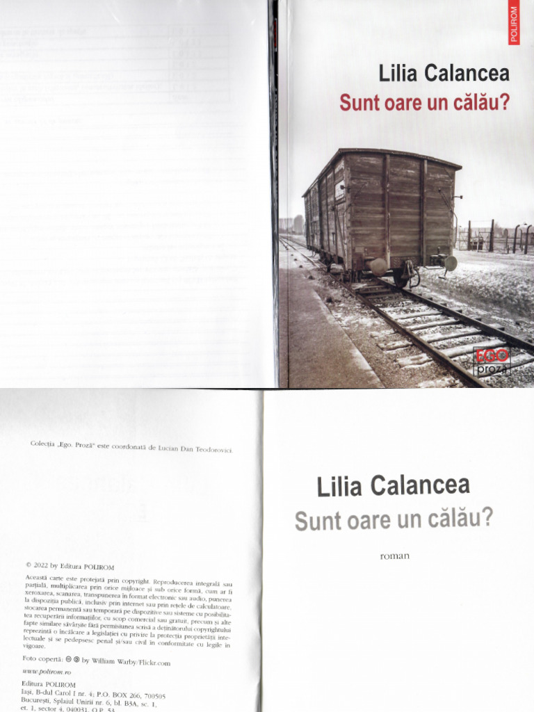 Lilia Calancea Sunt Oare Un Călău" PDF | PDF