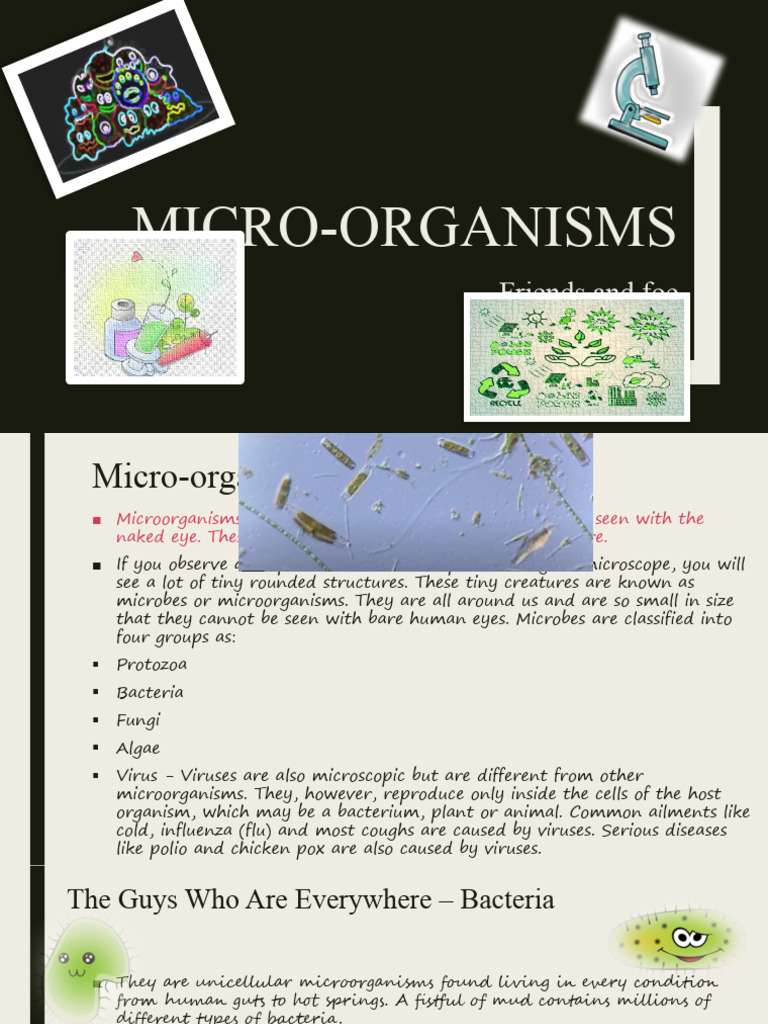 Microorganisms - VIII | PDF | Microorganism | Bacteria