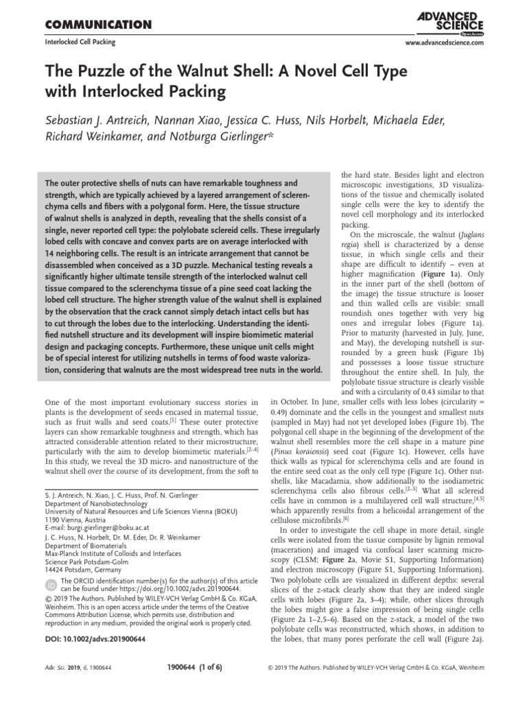 The Puzzle of The Walnut Shell A Novel Cell Type W | PDF | Tissue (Biology) | Strength Of Materials