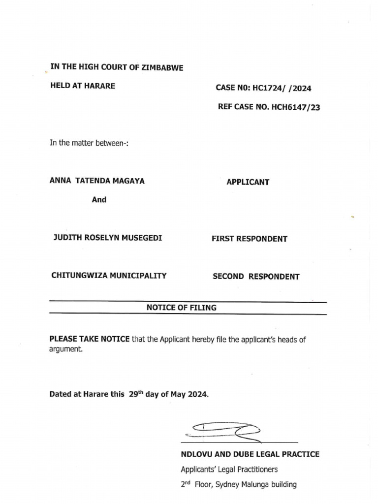 Heads of Argument | PDF