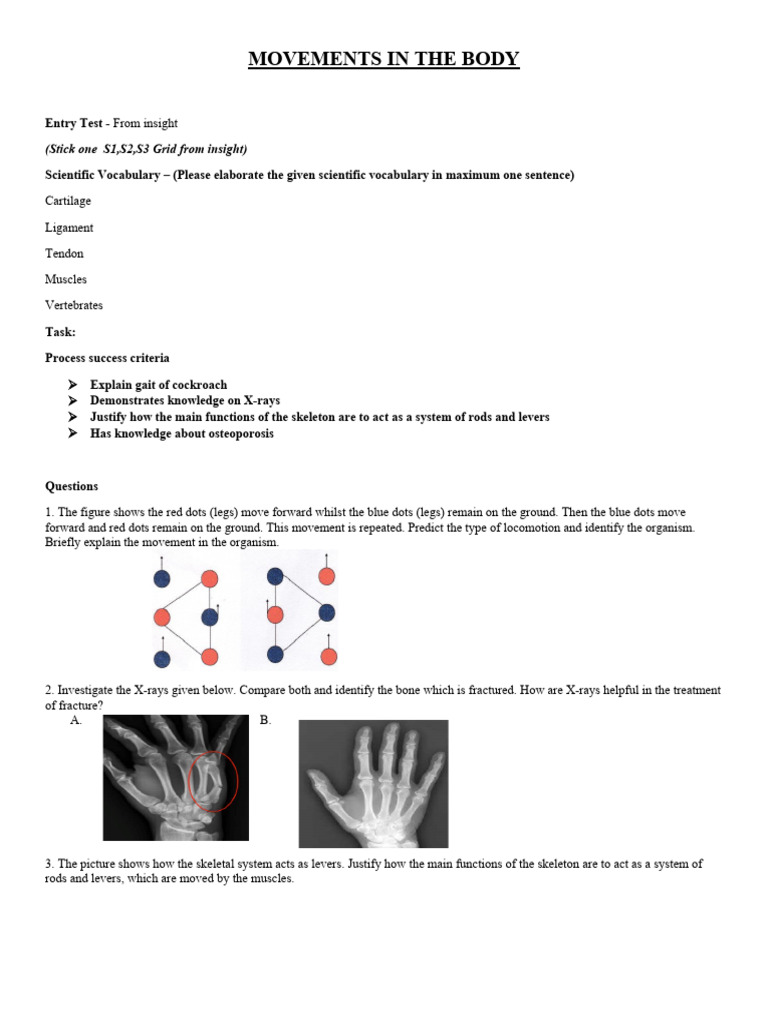 Movements of The Body Index Notes-1 | PDF | Osteoporosis | Bone