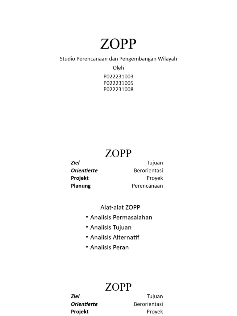 ZOPP New | PDF