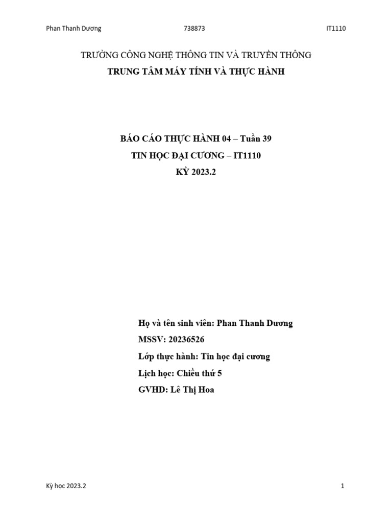 TH04 BaoCao ThucHanh IT1110 2023.2 | PDF