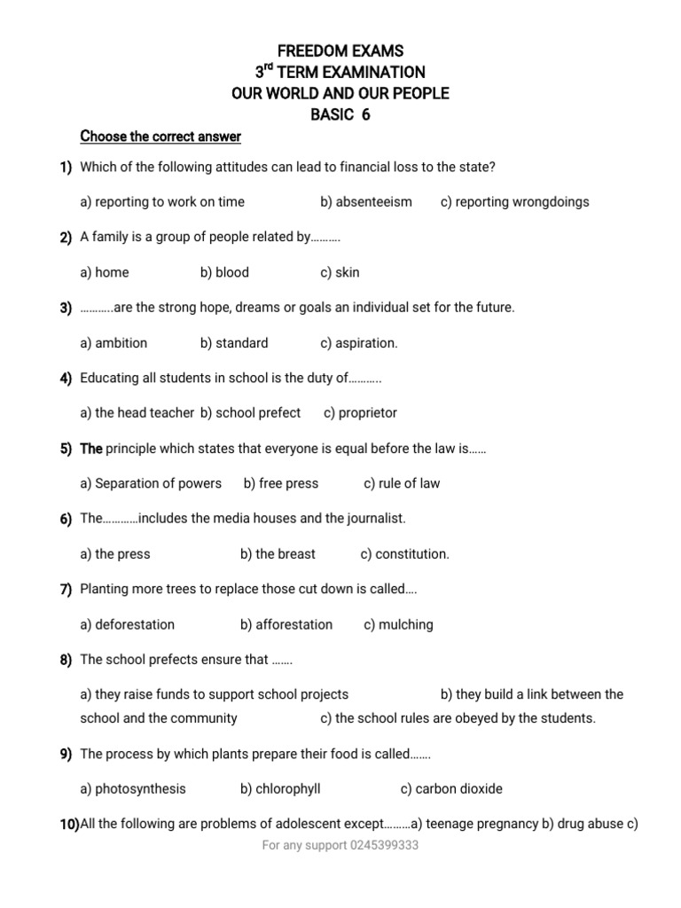 Term 3 B6 OWOP | PDF