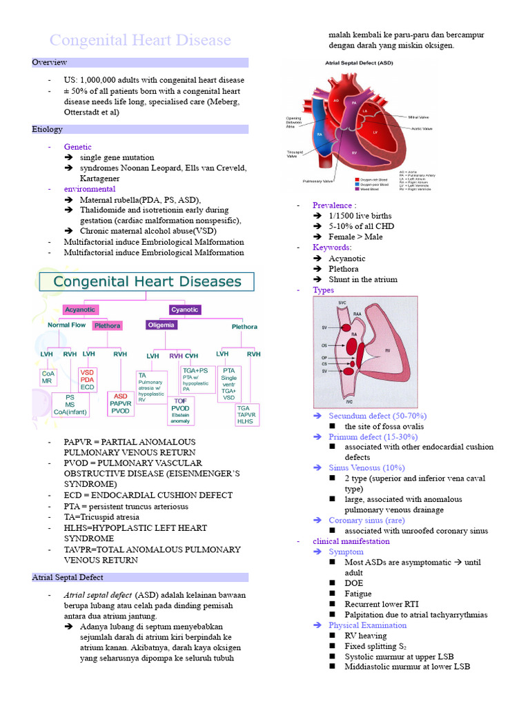 CT - L22 - Congenital Heart Disease | PDF | Congenital Heart Defect | Diseases And Disorders
