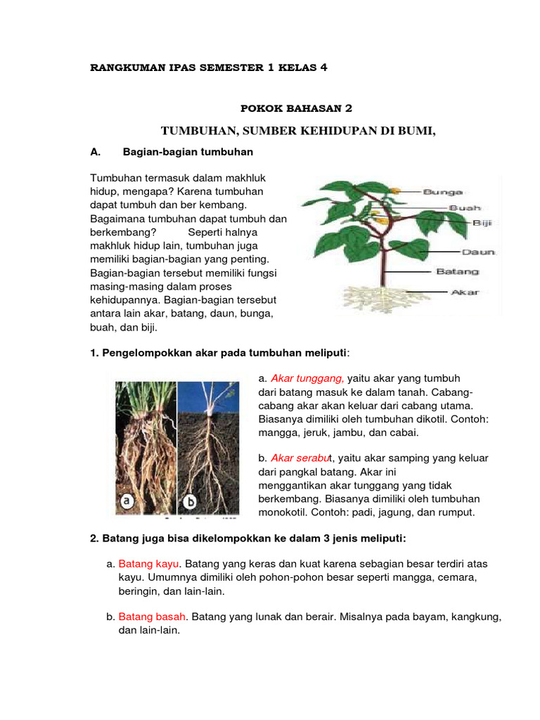 3 Rangkap Rangkuman IPAS Kelas 4 Tumbuhan | PDF