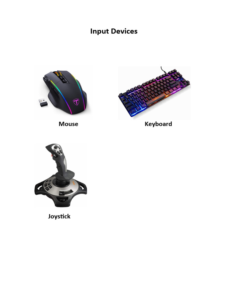 Input Devices | PDF