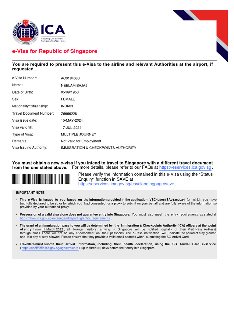Mummy Visa | PDF