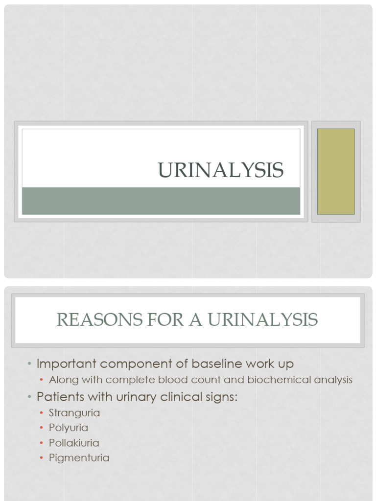 04 Urinalysis | PDF | Urine | Urology