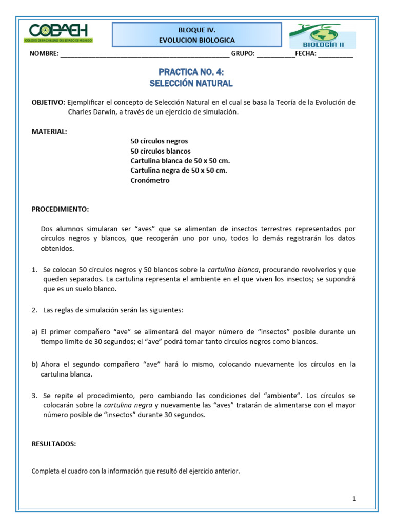 Practica 4. Seleccion Natural | PDF | Evolución | Aves