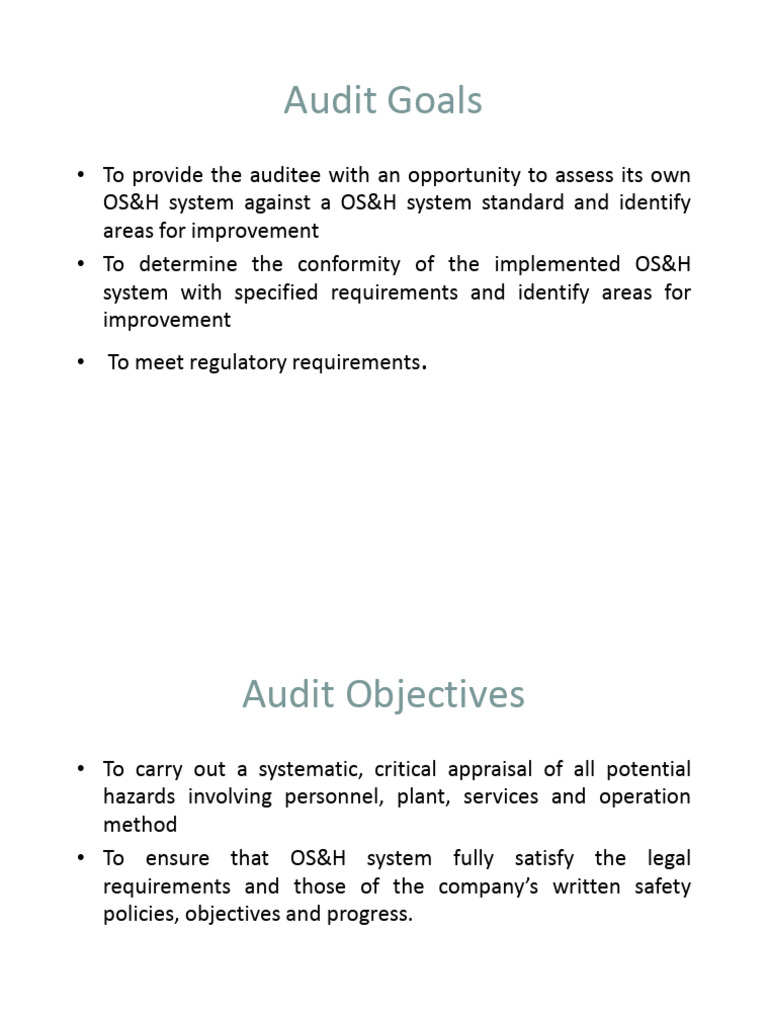 Audit Goal | PDF | Business