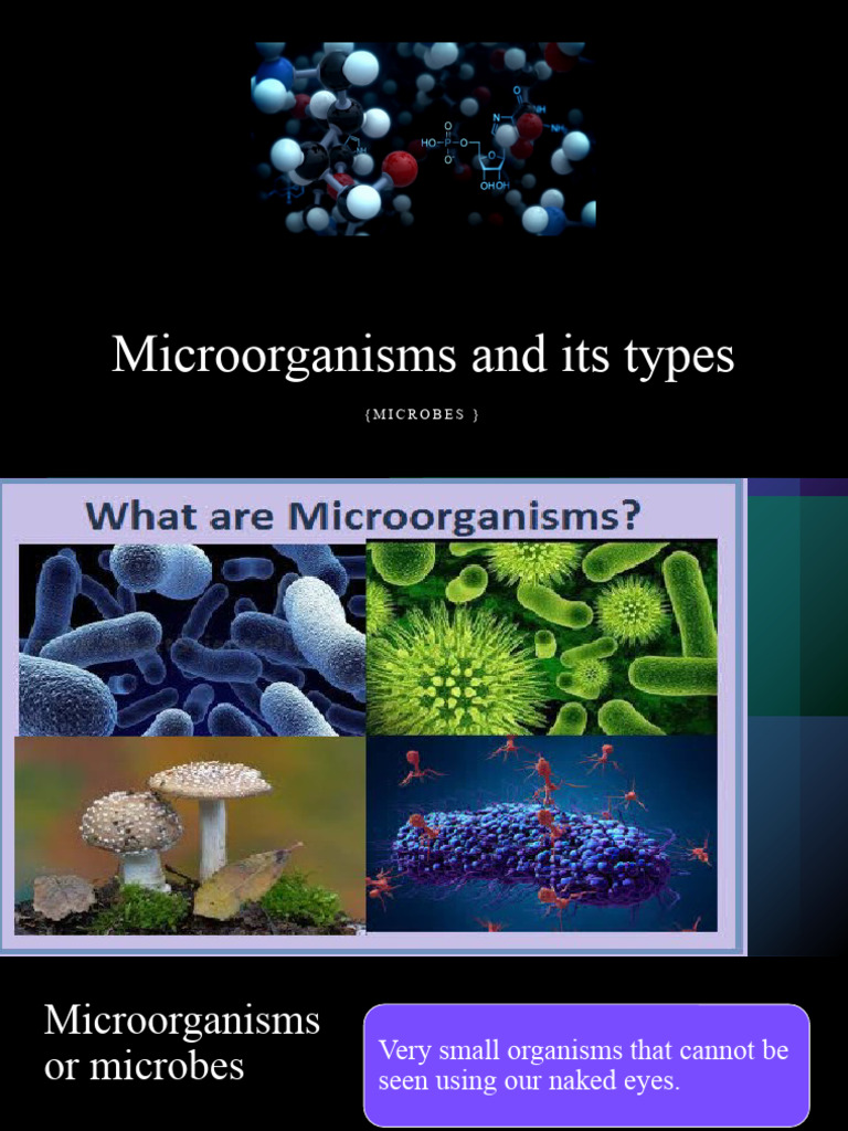 Microorganisms and Its Types | PDF | Science & Mathematics